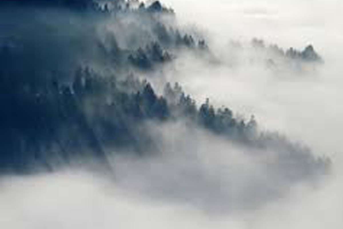 DIFFERENCE BETWEEN FOG MIST AND DEW K Siddhartha DIFFERENCE BETWEEN FOG MIST AND DEW K Siddhartha